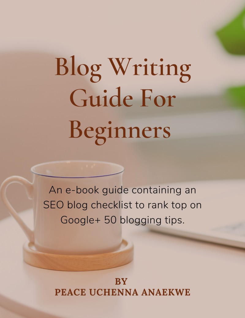 Buy Blog Writing Guide For Beginners by Blogging Camp on Selar