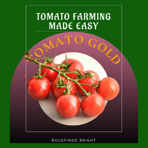 Buy TOMATO FARMING MADE EASY by Bolofindo Bright on Selar