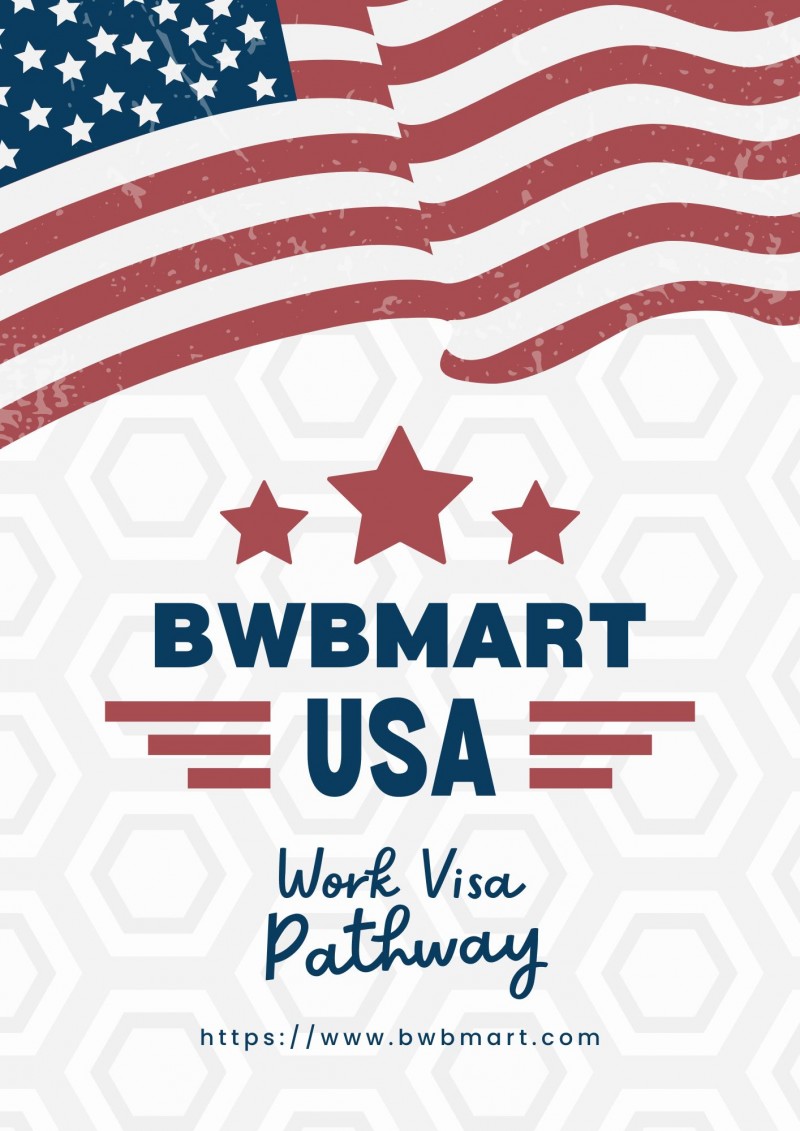 Buy USA Work Visa/Greencard Pathway Consultantion by Boma Braide on Selar