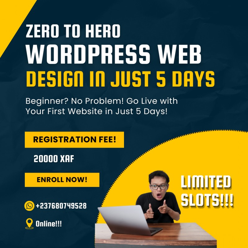 Buy Zero to Hero: WordPress Web Designer in Just 5 Days by Delmond Bongha on Selar
