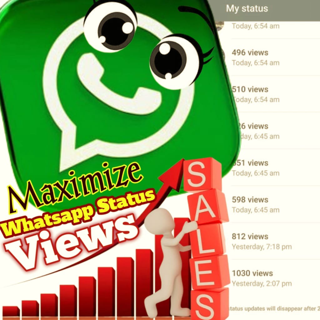 Buy MAXIMIZE WHATSAPP STATUS VIEWS AND AUTOMATE LIKE A PRO by Bright ...