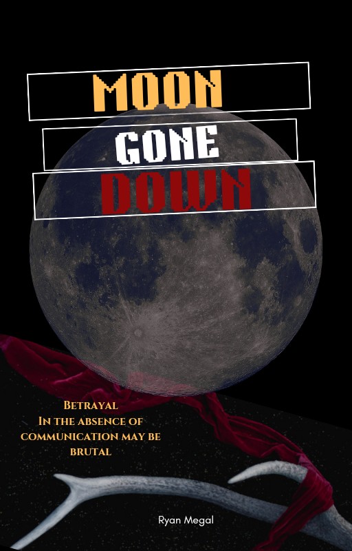 Buy E Book - Moon Gone Book by Bukola Oyedokun on Selar
