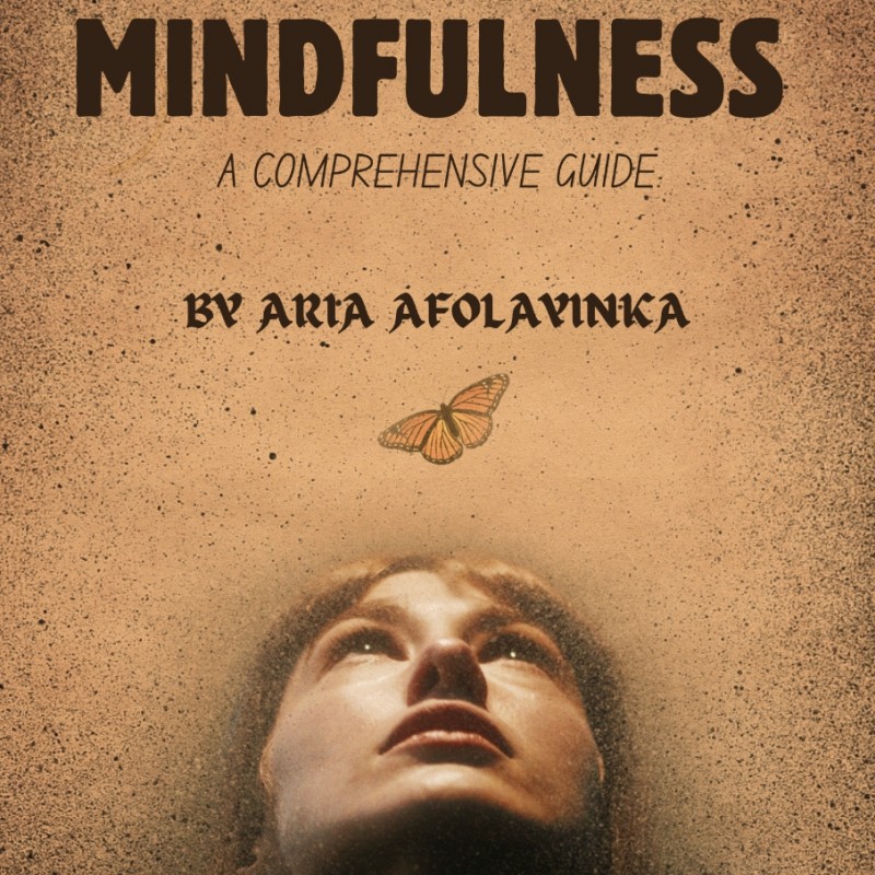 Buy Mindfulness (a comprehensive guide) by Buluro Olayinka Afolake on Selar