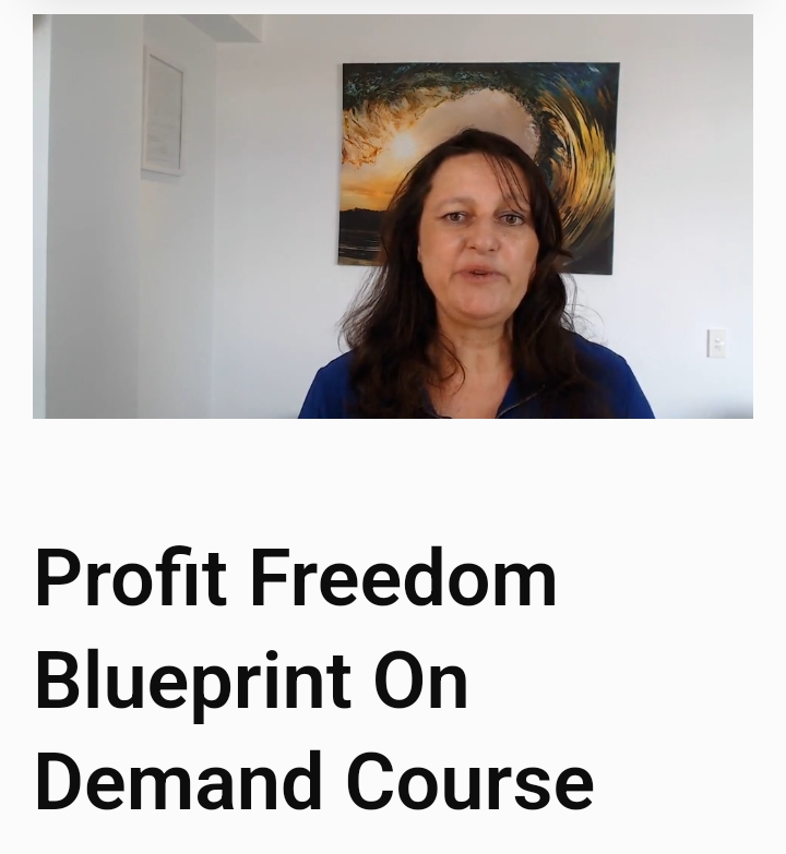 Buy Profit Freedom Blueprint On Demand Course by Bureau Garnier on Selar