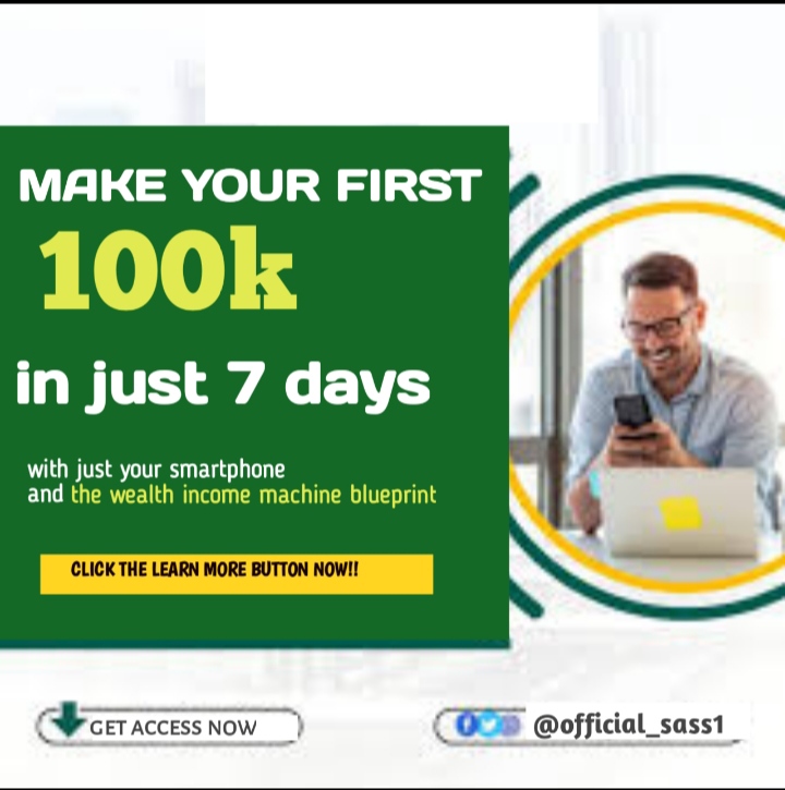 Buy Wealth Income Machine Blueprint by Catherine Fasina on Selar