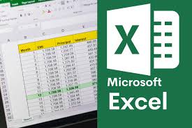 Buy Excel Mastery by Chikwado Uche-Enwere on Selar