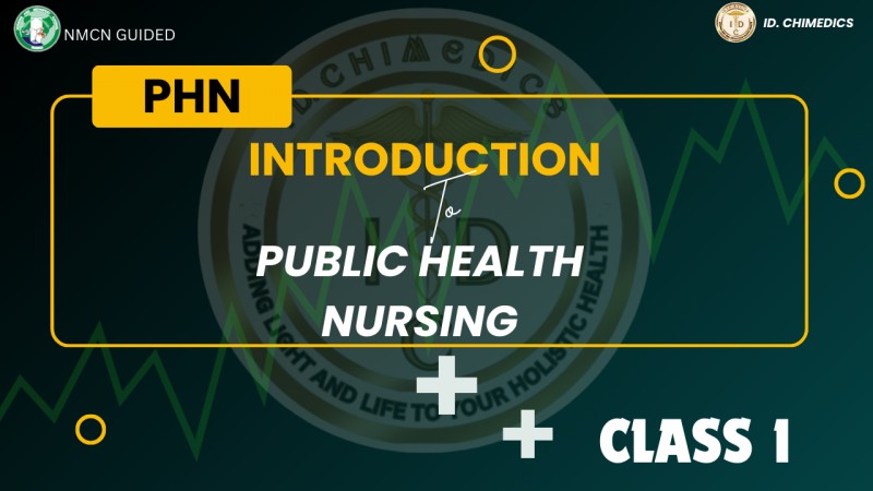 Buy PHN CLASS 1 PPT BY ID.C by Chimbueze Ndukwem Idika on Selar