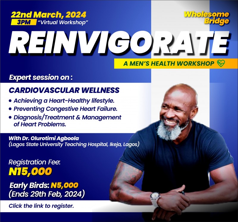 Buy Reinvigorate by Wholesome Bridge on Selar