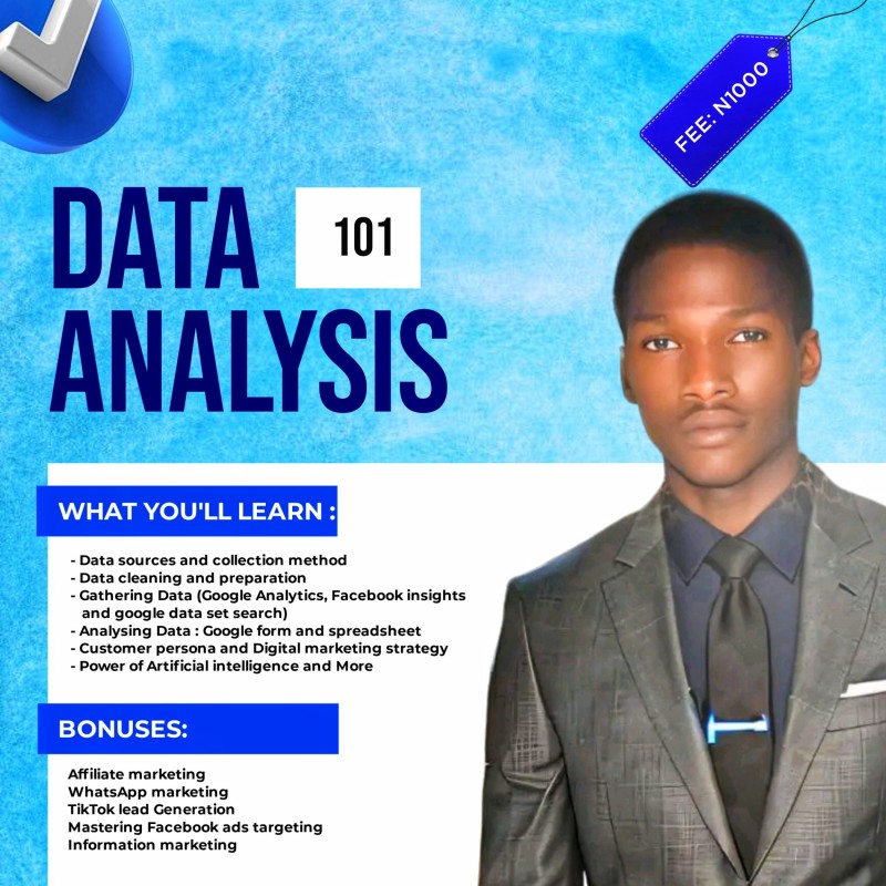 Buy Data Analysis 101 by Coach Abraham Goodness on Selar