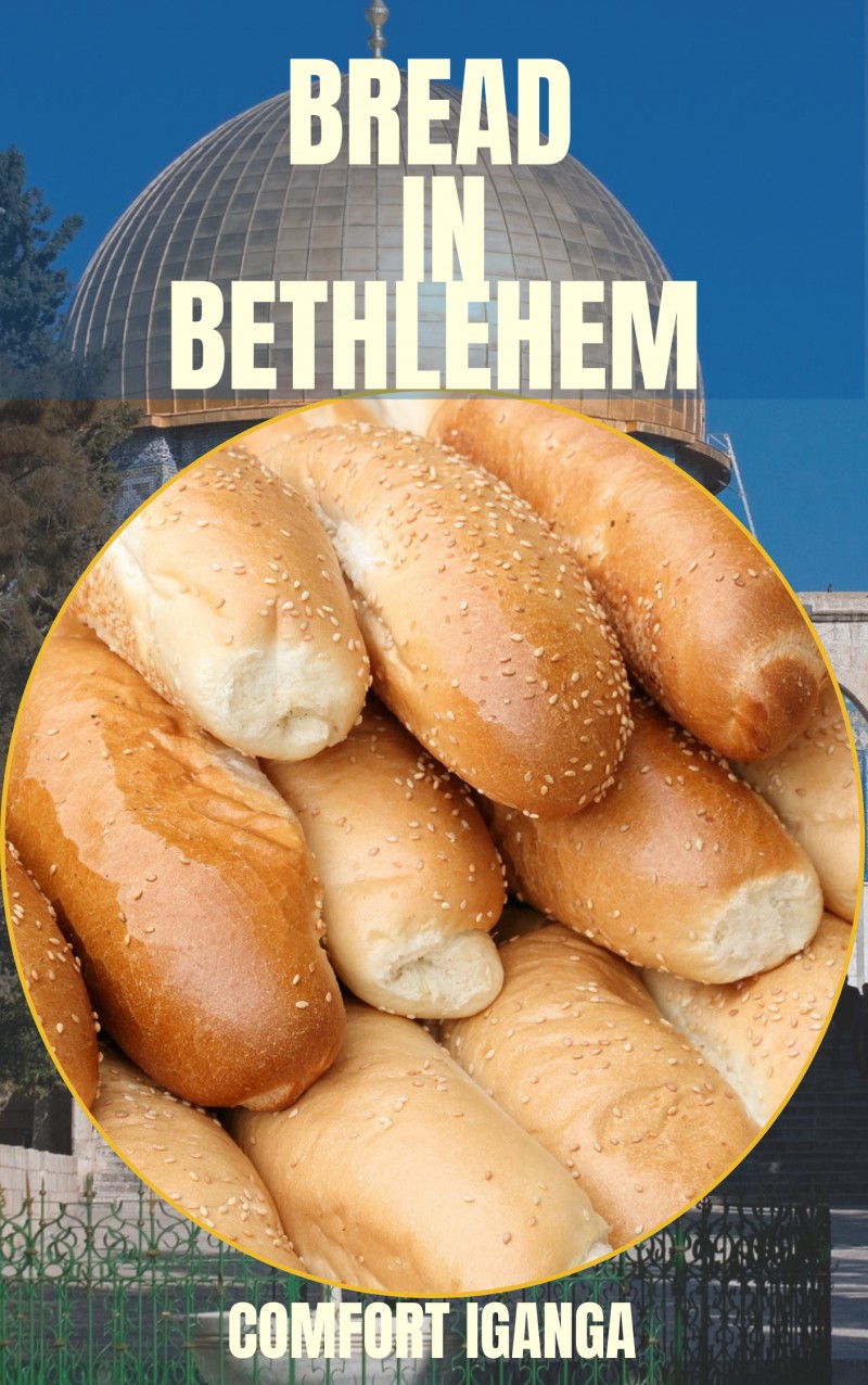 Buy Bread In Bethlehem by Comfort Iganga on Selar