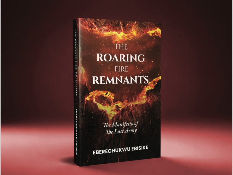 Buy The Roaring Fire Remnants by Eberechukwu Ebisike on Selar