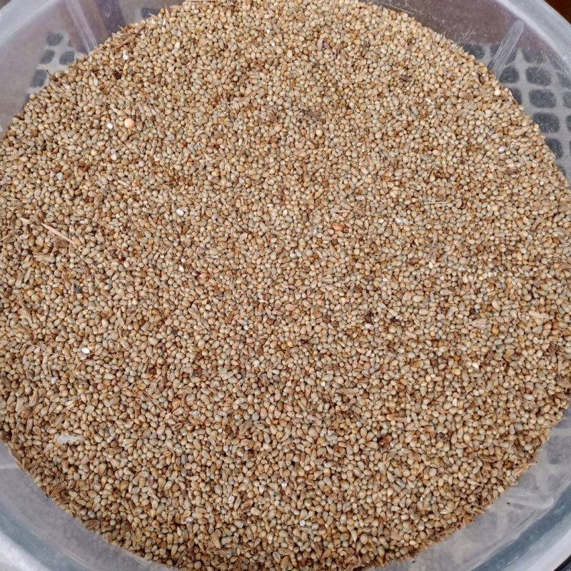 Buy Millet (per cup) by Daraville Groceries on Selar