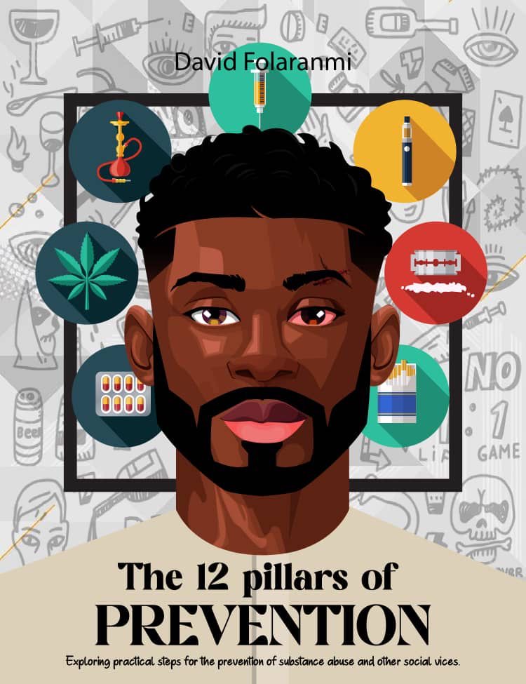 Buy The 12 Pillars of Prevention by David Folaranmi by David Folaranmi ...