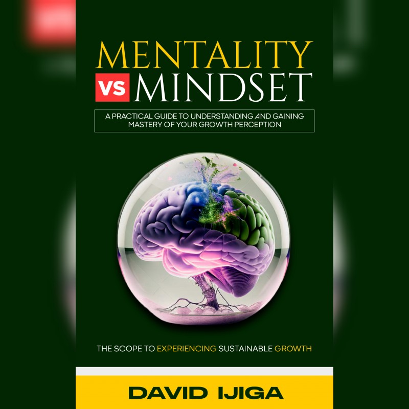 Buy MENTALITY VS MINDSET by David ijiga on Selar