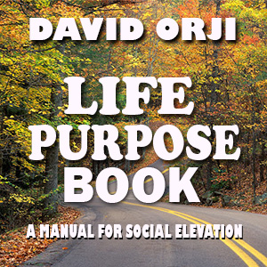 Buy LIFE PURPOSE BOOK by DAVID ORJI on Selar