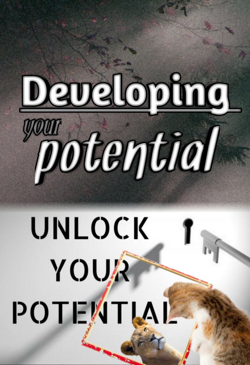 Buy Developing your potential by David Taiwo on Selar