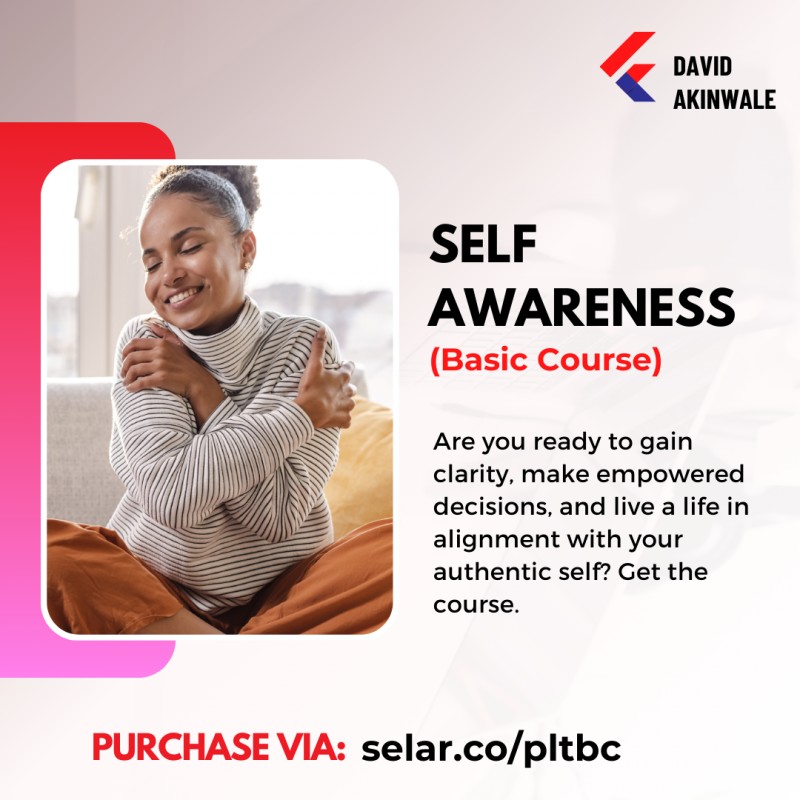 Buy Self Awareness Basic Course by David Akinwale on Selar