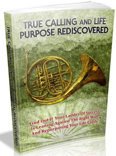 Buy True Calling And Life Purpose Rediscovered by Deborah Larson on Selar