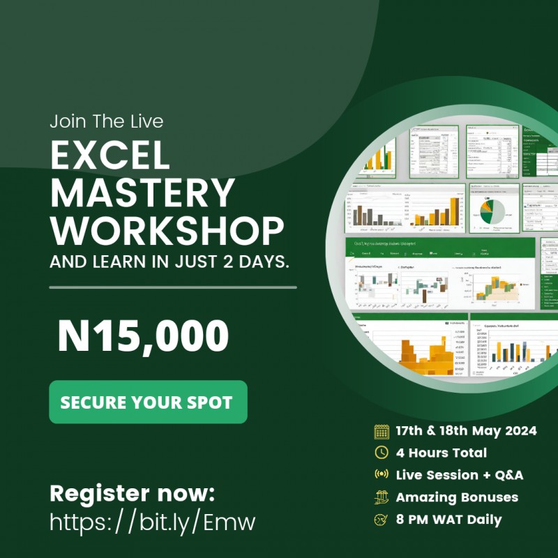 Buy Excel Mastery Workshop by Delight Magnus on Selar