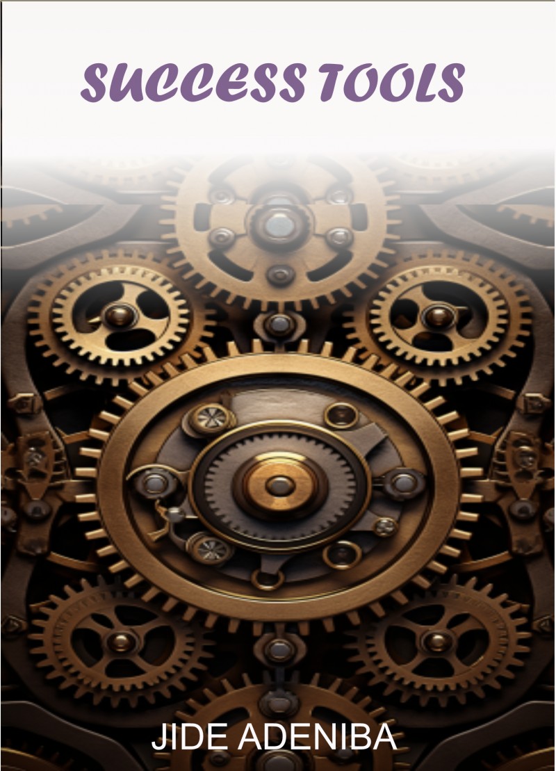 Buy Success Tools for Adults by Delight on Selar