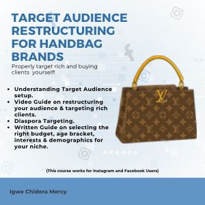 Buy HANDBAG BRAND TARGET AUDIENCE SETUP [Video guide] by Derah's ...
