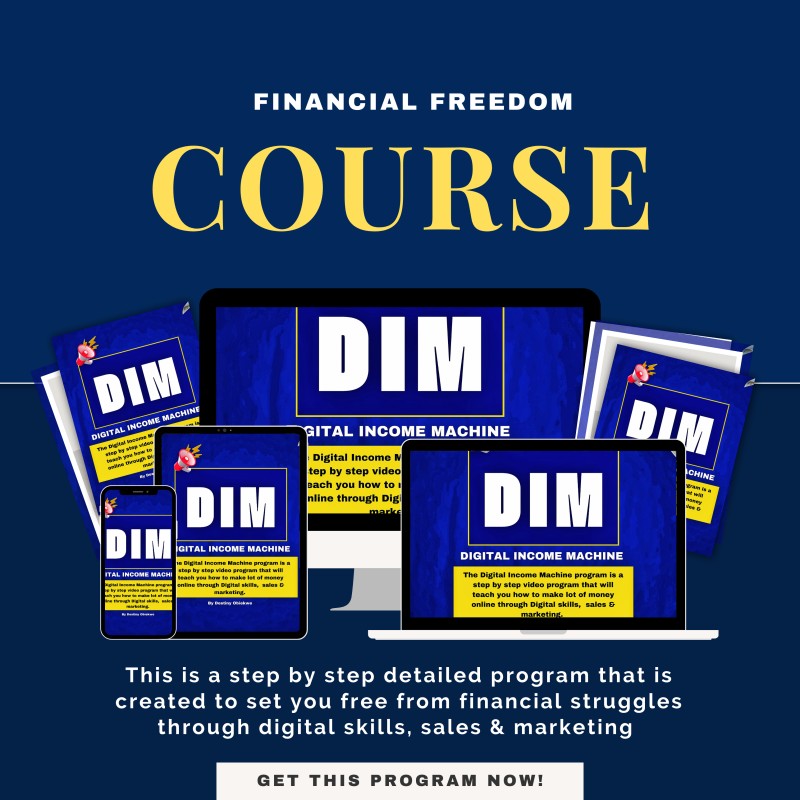 Buy 𝗗𝗜𝗚𝗜𝗧𝗔𝗟 𝗜𝗡𝗖𝗢𝗠𝗘 𝗠𝗔𝗖𝗛𝗜𝗡𝗘 𝗣𝗥𝗢𝗚𝗥𝗔𝗠 (𝗗𝗜𝗠) by Destiny Obiekwe on Selar