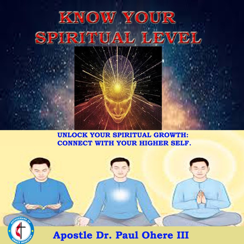 Buy KNOW YOUR SPIRITUAL LEVEL IN LIFE by Dr Paul Ohere III on Selar