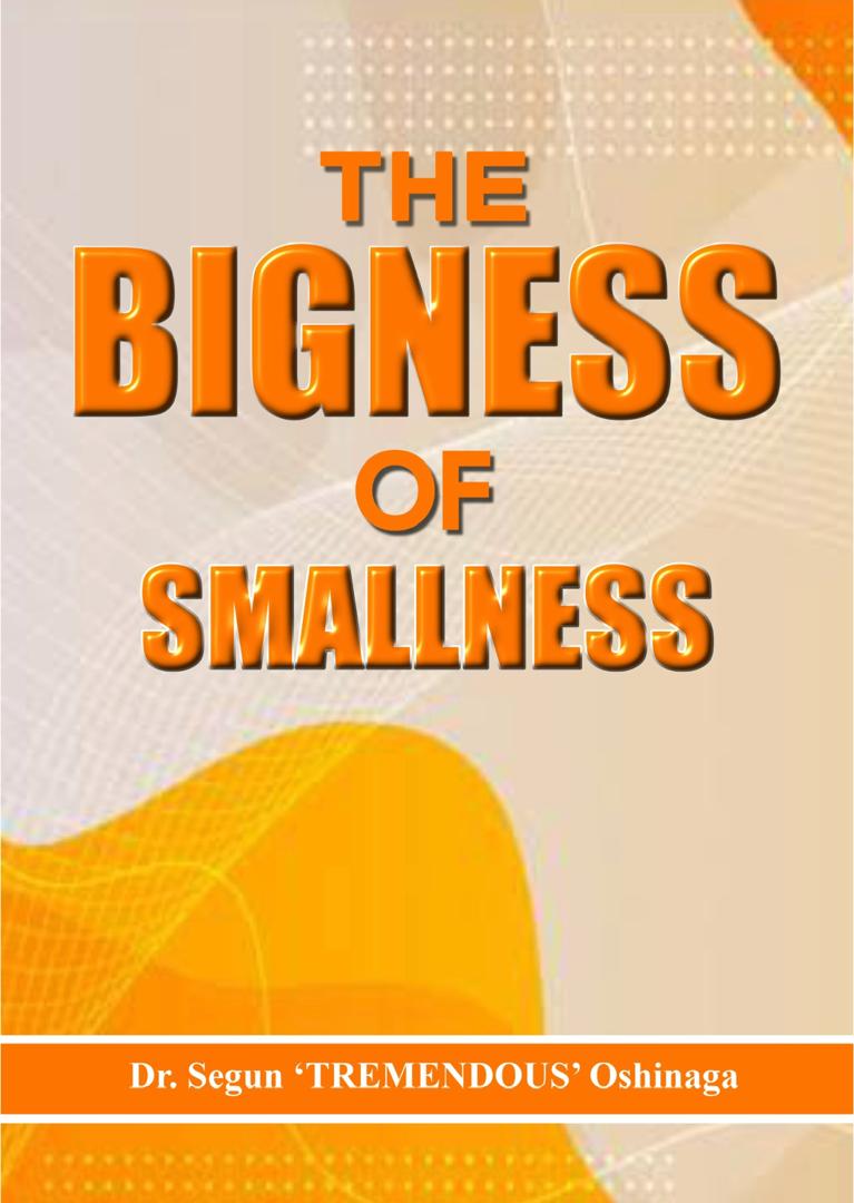 Buy THE BIGNESS OF SMALLNESS FINAL by Dr Segun Tremendous Oshinaga on Selar