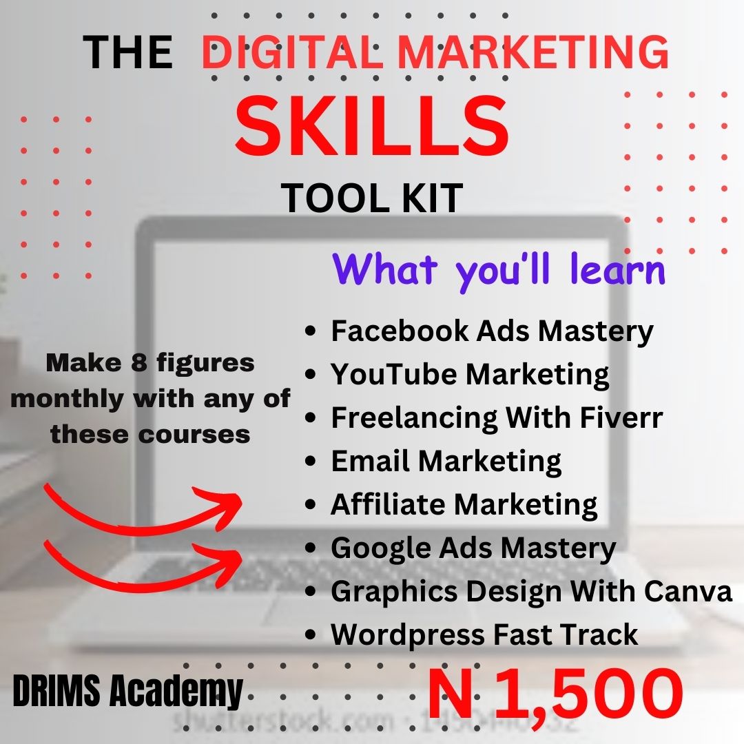 Buy Digital Skills Toolkit (DSTK) by Dr. James Affiliate on Selar