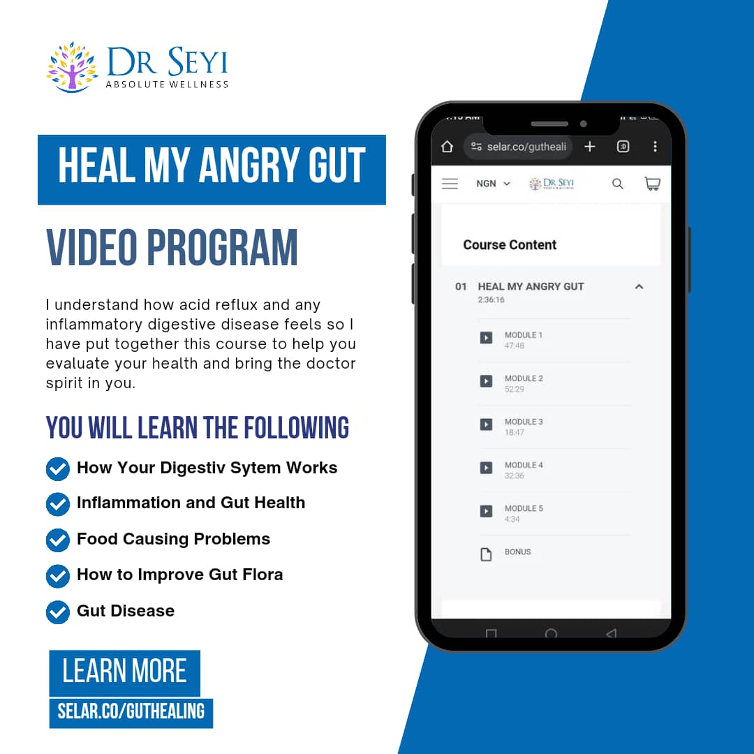 Buy Heal My Angry Gut Video Program by Dr Seyi Absolute Wellness on Selar