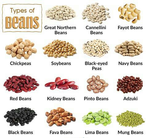 Buy The Types Of Foreigners Beans And The Different Ways Of Delicacy ...