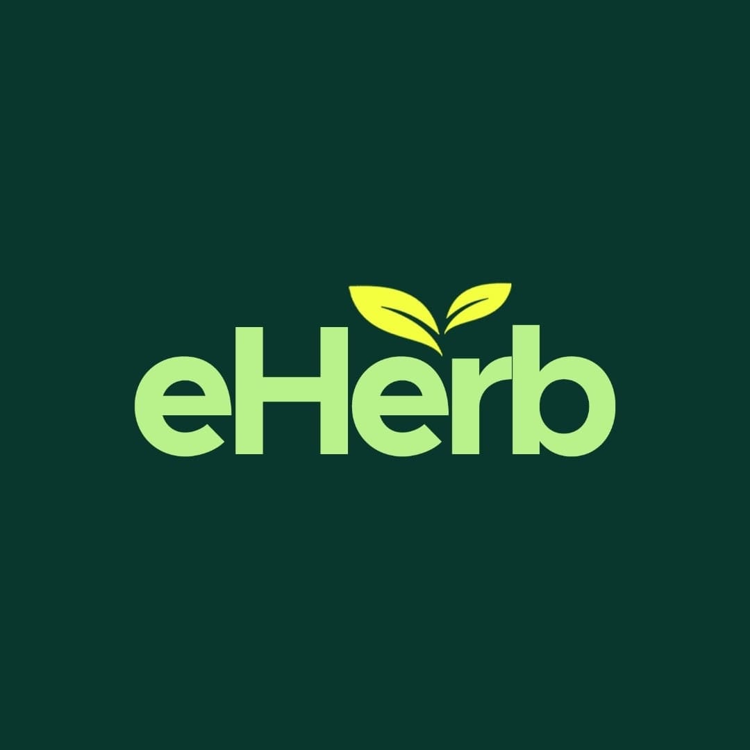 Get Healing Ticket M1: Solo Symphony by EHERB CENTER on Selar