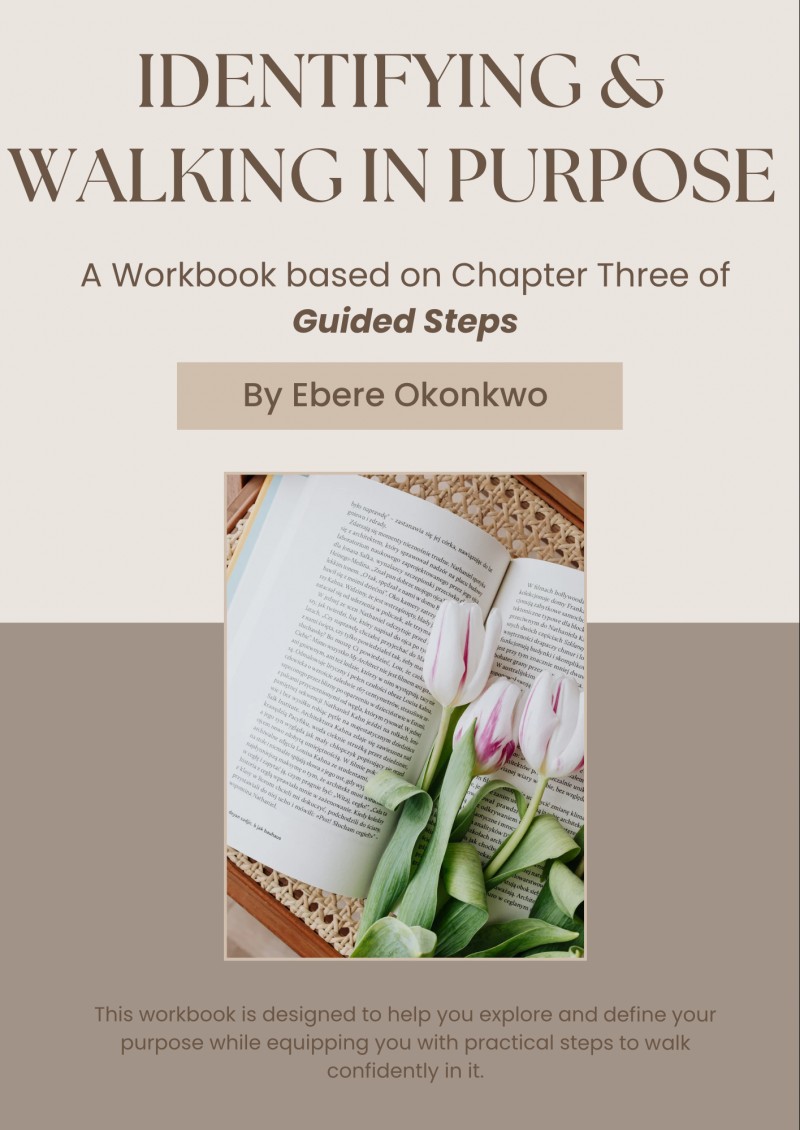Buy Identifying & walking in purpose - Workbook by Ebere Okonkwo on Selar