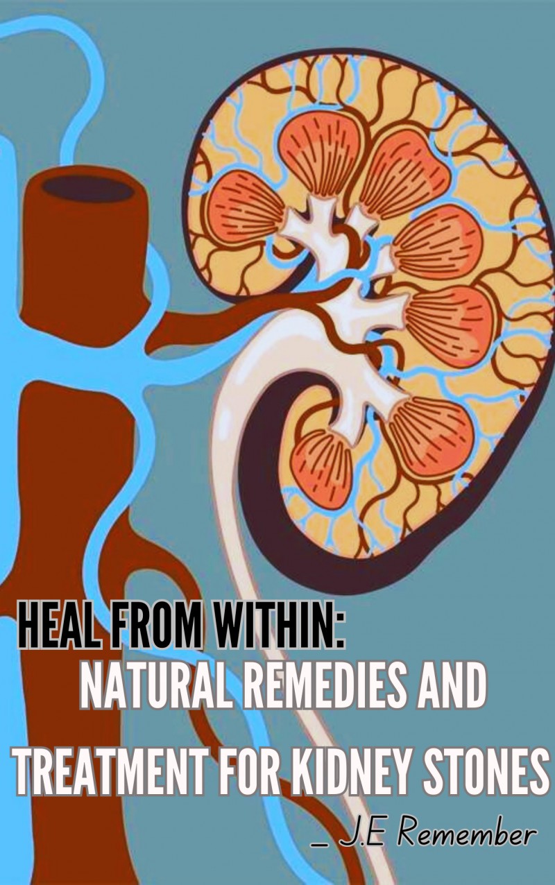 Buy HEAL FROM WITHIN: NATURAL REMEDIES AND TREATMENT FOR KIDNEY STONES ...