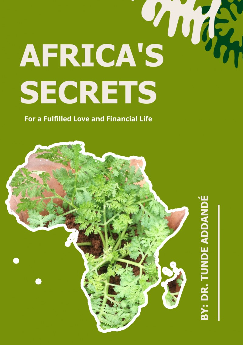 Buy AFRICA'S SECRETS : For a Fulfilled Love and Financial Life by ...