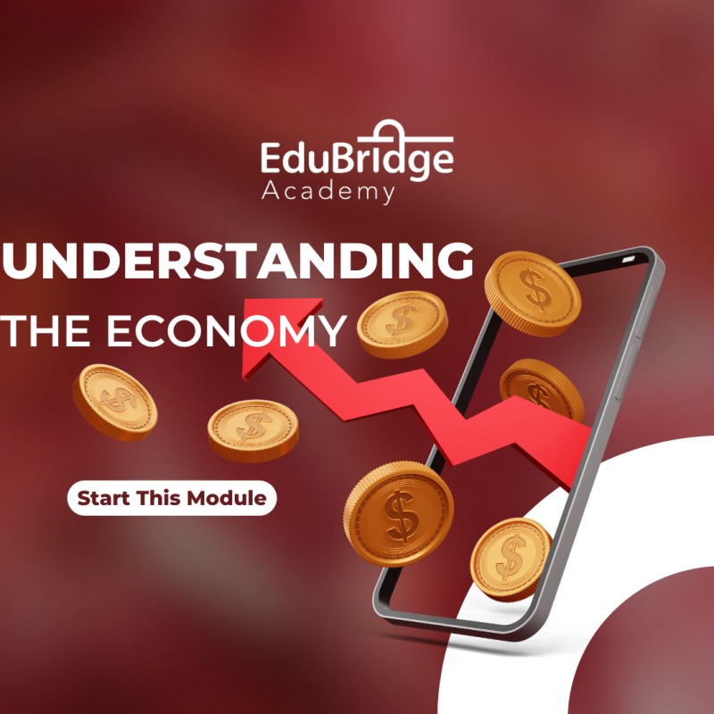 Buy Understanding The Economy by EduBridge Academy on Selar