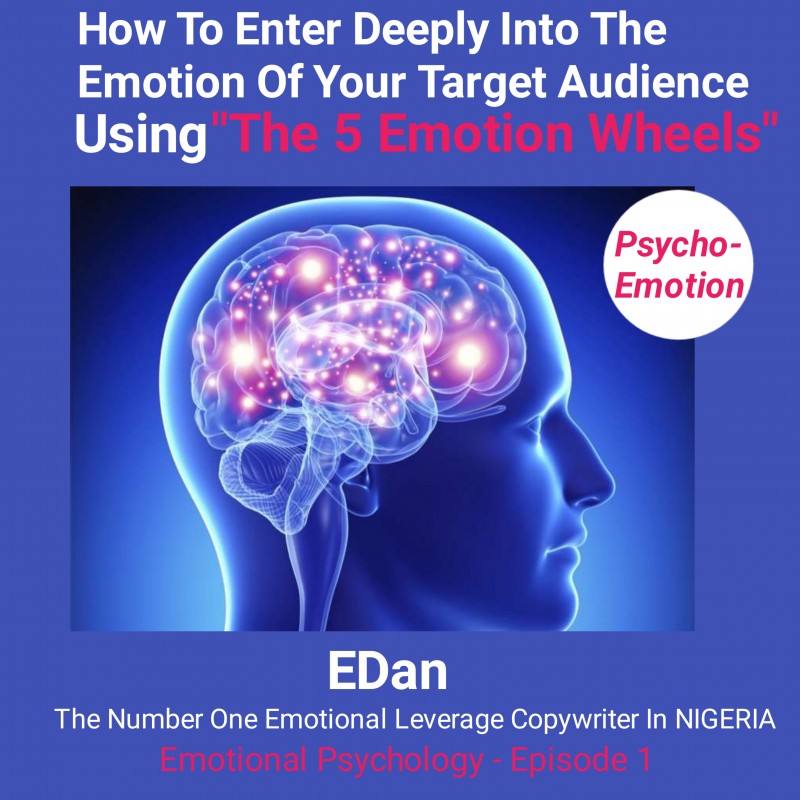 Get How To Enter Deeply Into Your Target Audience Emotions Using "The 5 ...