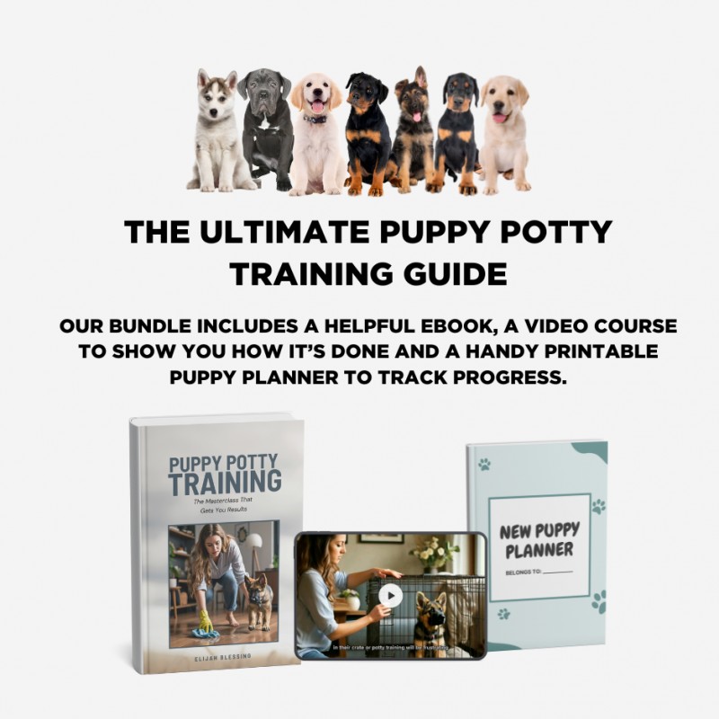 Buy Puppy Potty Training: The Masterclass That Gets You Results! by ...