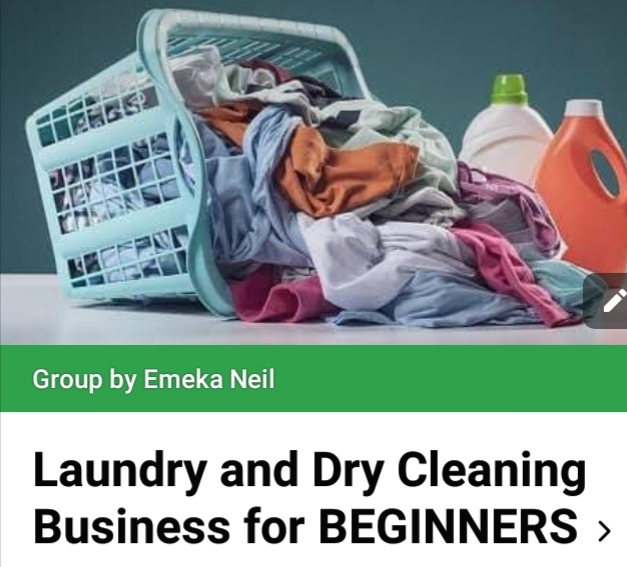 Buy Laundry and dry cleaning handout for beginners by Davidson washiki ...