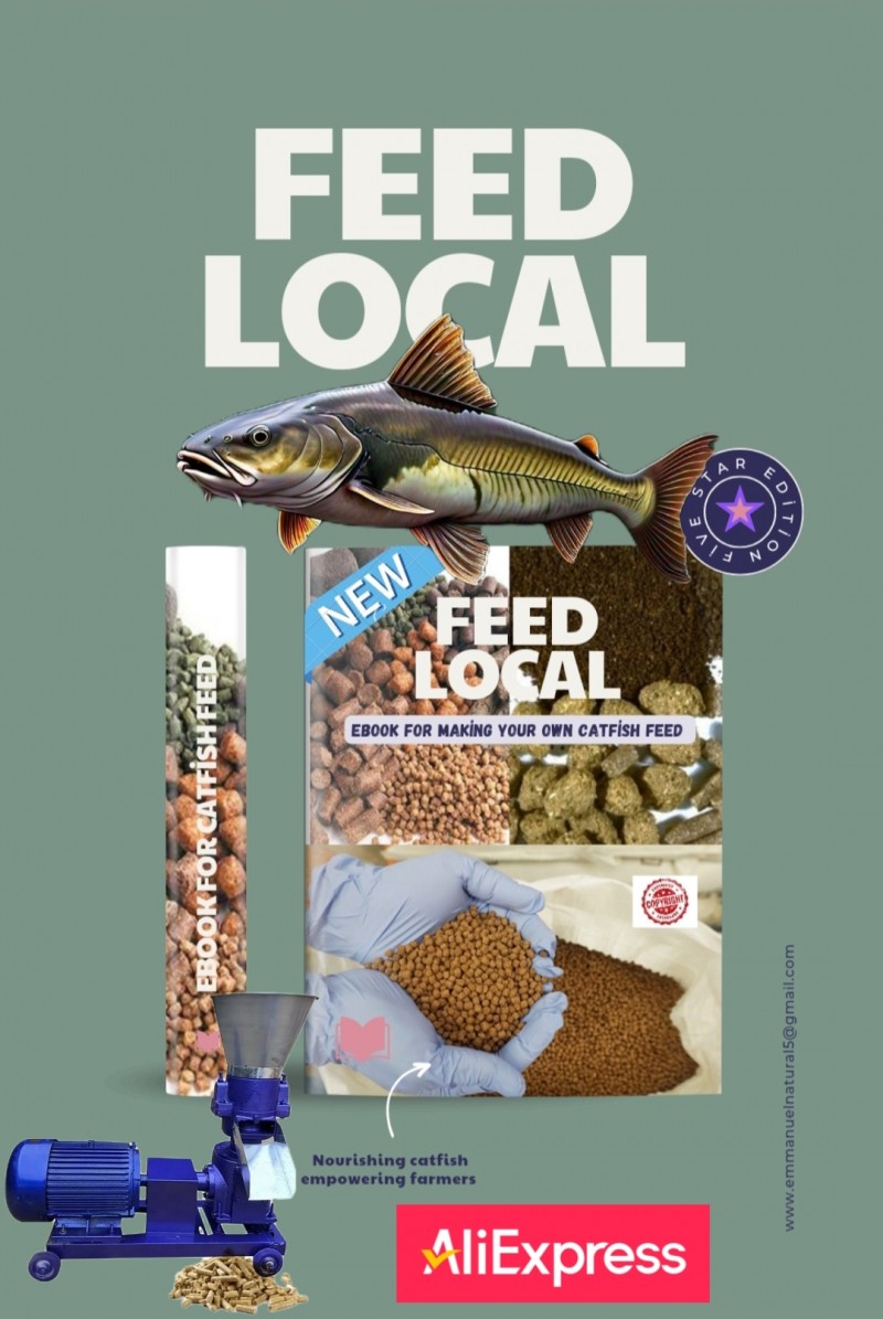 Buy Feed local nourishing catfish empowering farmers by Emmanuel ...