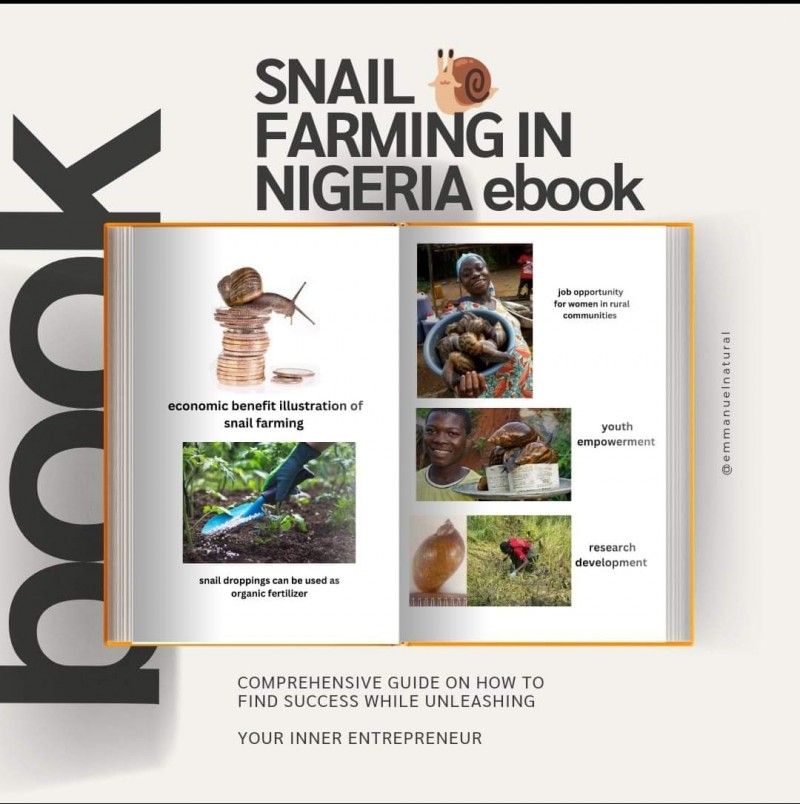 Buy SNAIL 🐌 FARMING IN NIGERIA eBOOK by Emmanuel Natural on Selar