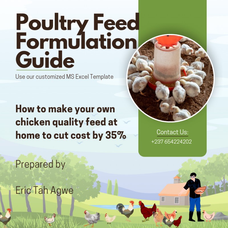 Buy Poultry Feed Formulation MS Excel Template by Tah Farmer's House on ...