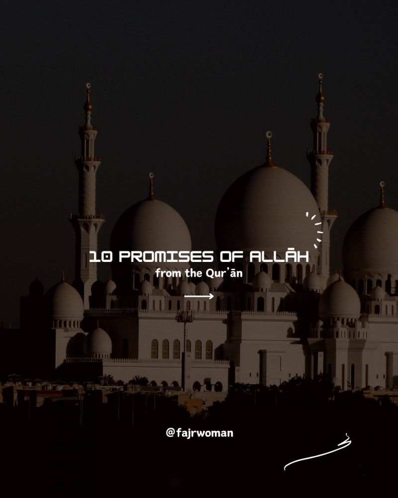 Get 10 Promises of Allah in the Qur'ān by Fajr Woman on Selar