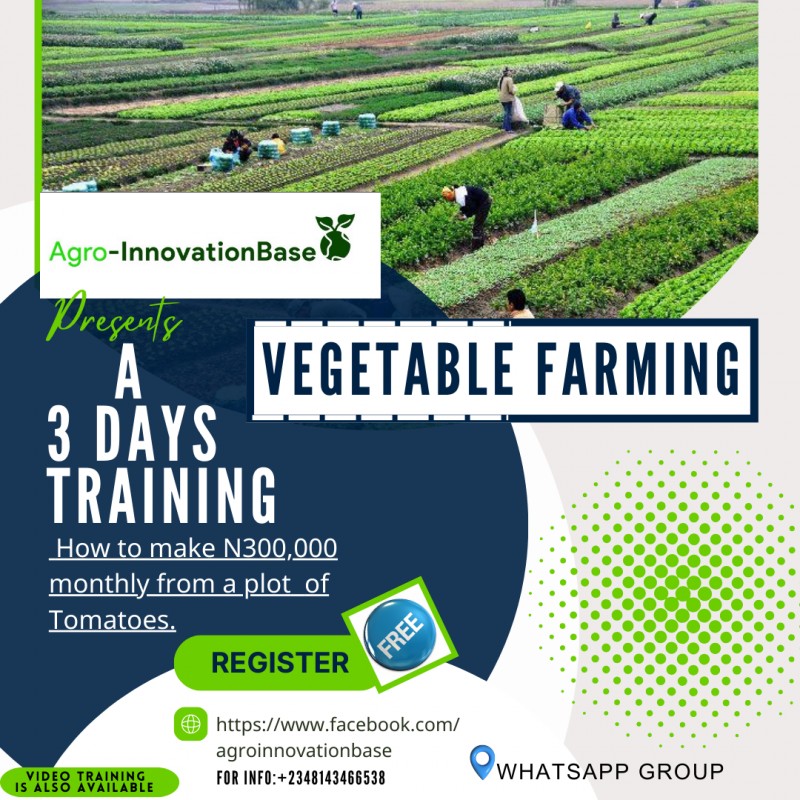 Get 3Days Online Practical Training on Tomatoes and Pepper Production by FARM KING AGRO ...