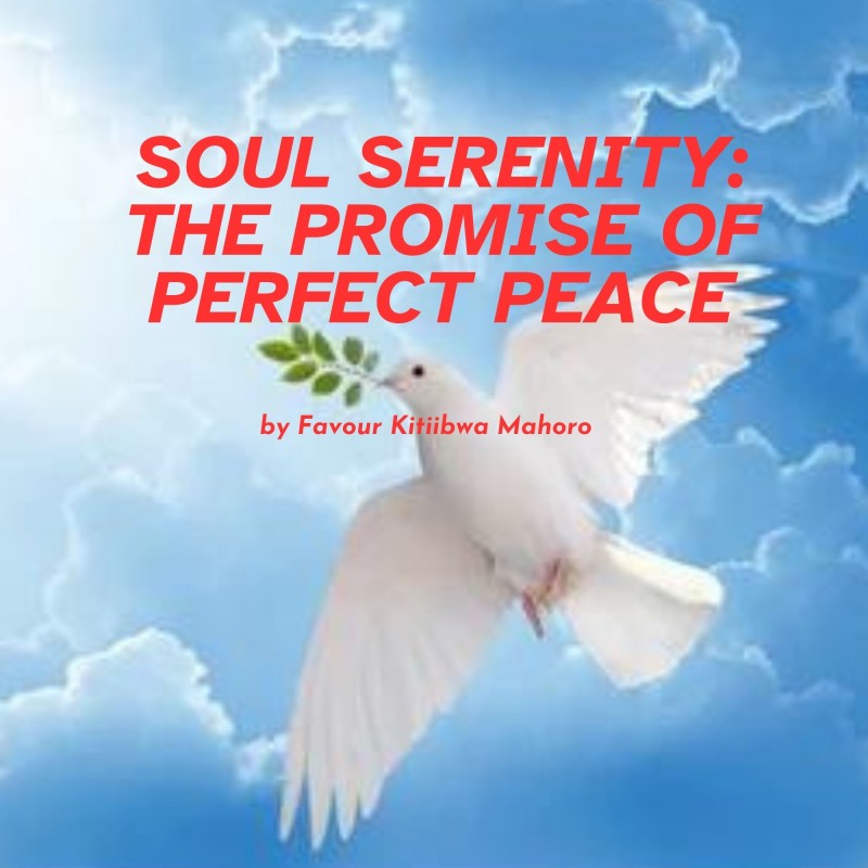 Get Soul Serenity: The Promise of Perfect Peace by Favour Kitiibwa ...