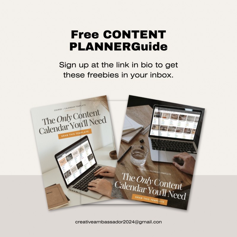 Get FREE CONTENT PLANNER GUIDE by Felicia Leonard on Selar