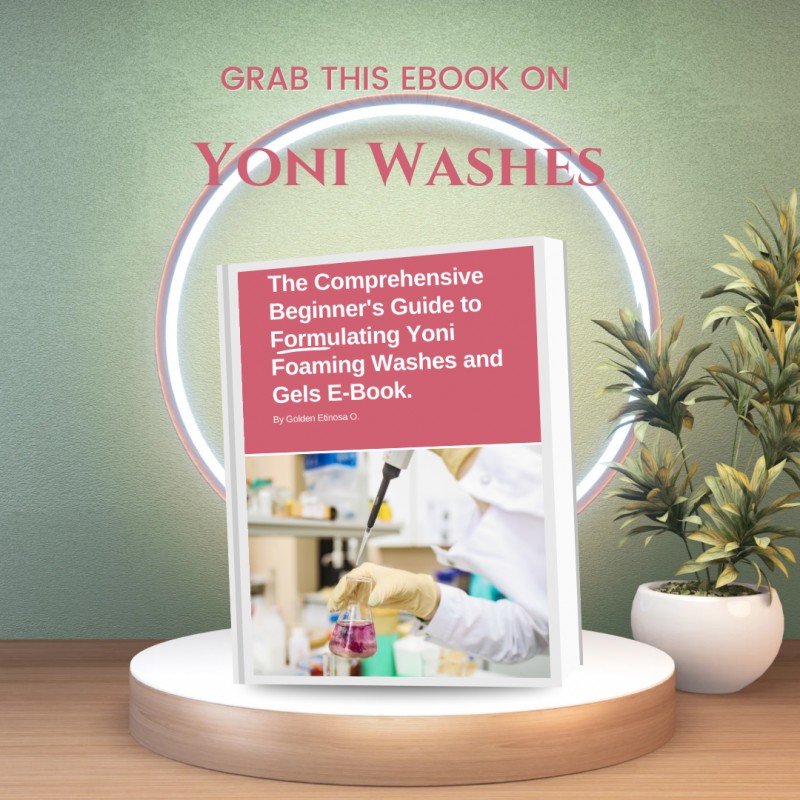 Buy The Comprehensive Beginner's Guide to Formulating Yoni Foaming Washes and Gels E-Book. by ...