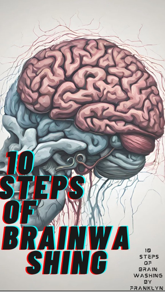 Buy Art of Brainwashing by Franklyn on Selar