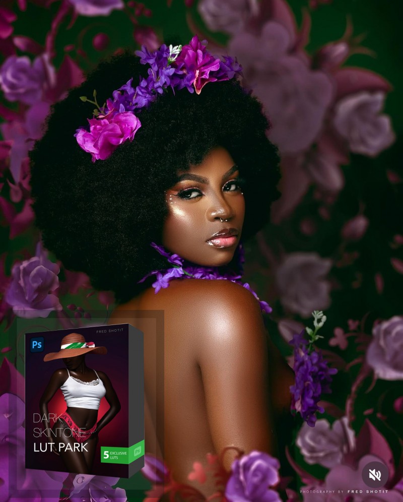 Buy DARK SKIN TONE LUT PACK by Fred Eriyamremu on Selar