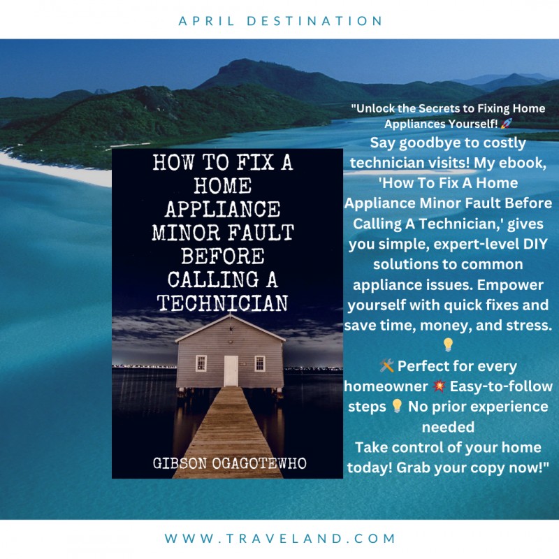 Buy How To Fix A Home Appliance Minor Fault Before Calling A Technician ...